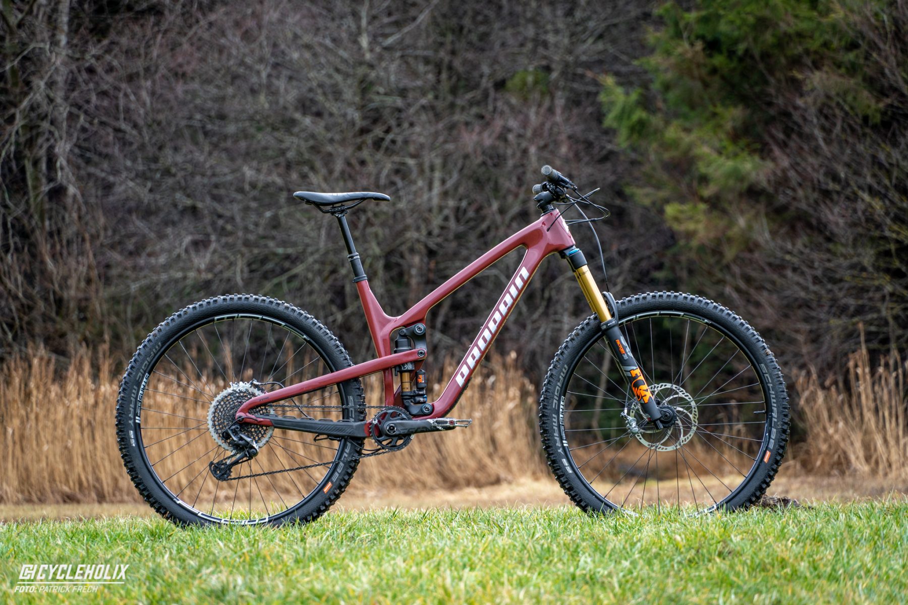 Propain Tyee CF 2020 Im Einzeltest