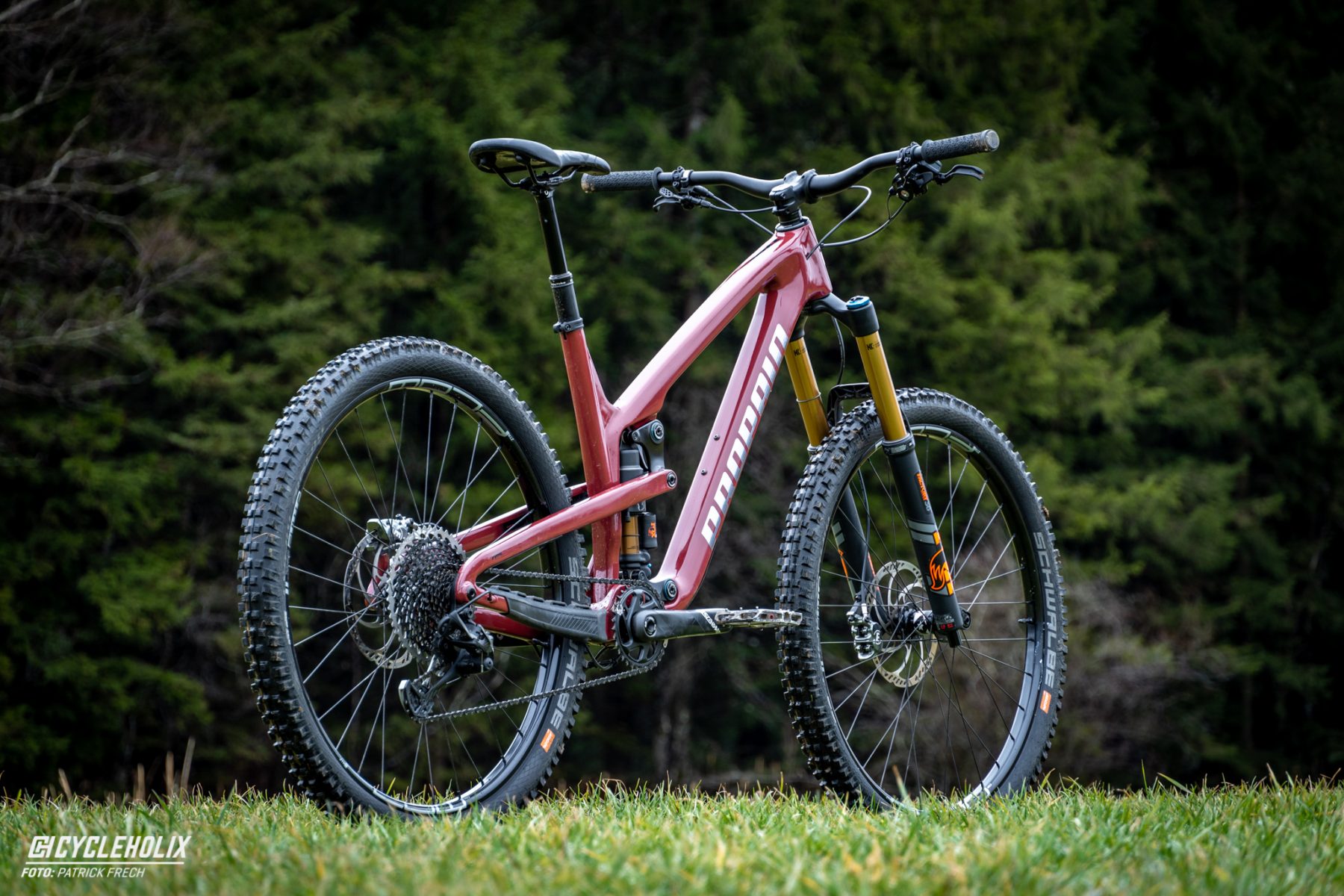 Propain Tyee CF 2020 Im Einzeltest