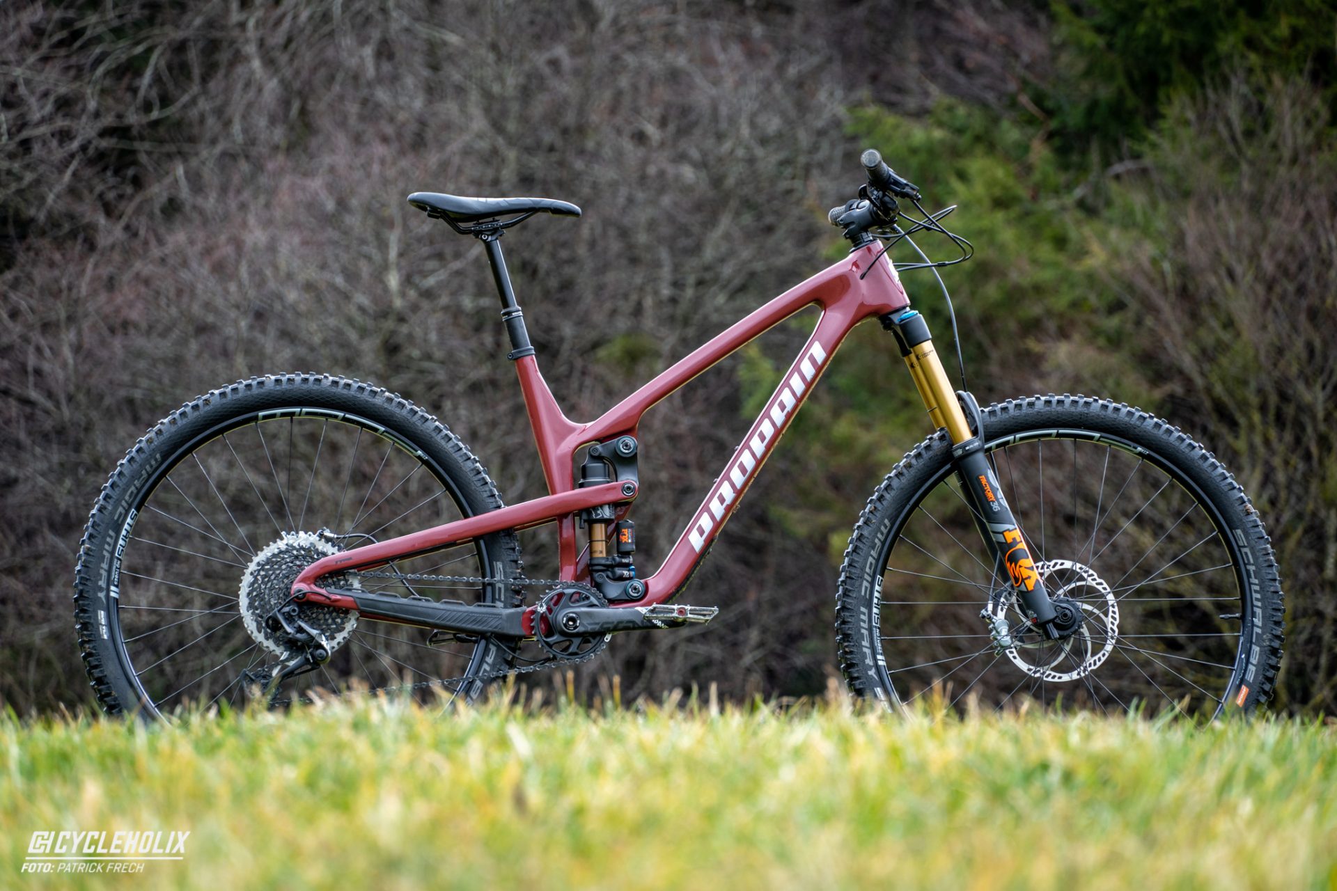 Propain Tyee CF 2020 Im Einzeltest